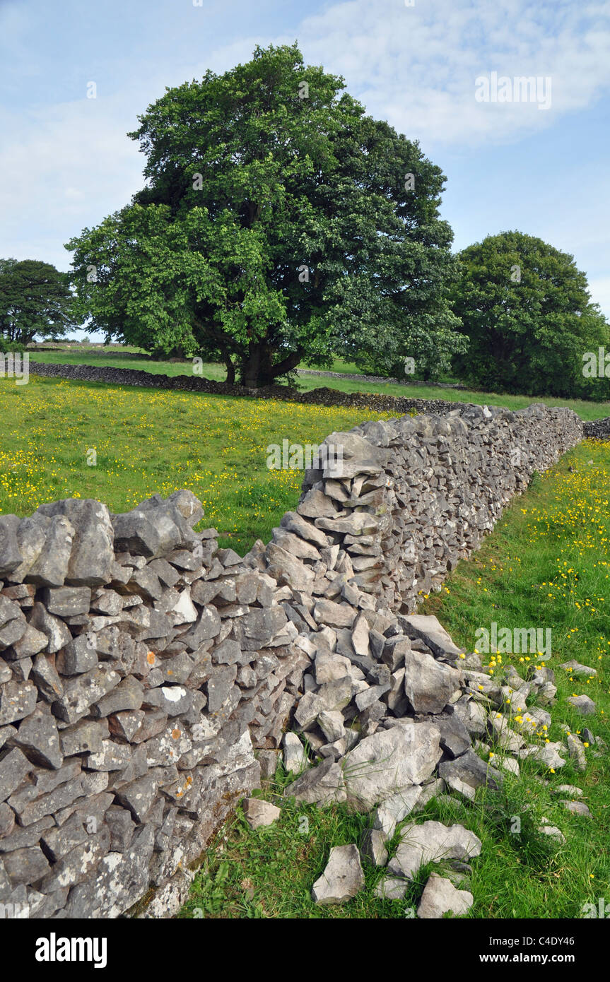 Tideswell, Derybshire, England: traditional dry stone walls Stock Photo ...