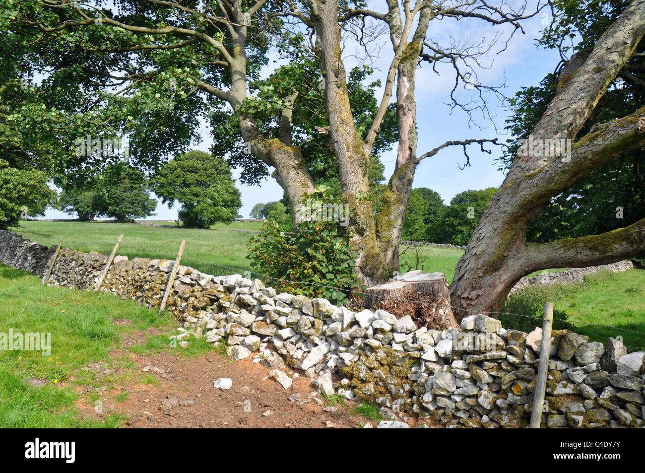 Traditional dry stone walls hi-res stock photography and images - Alamy