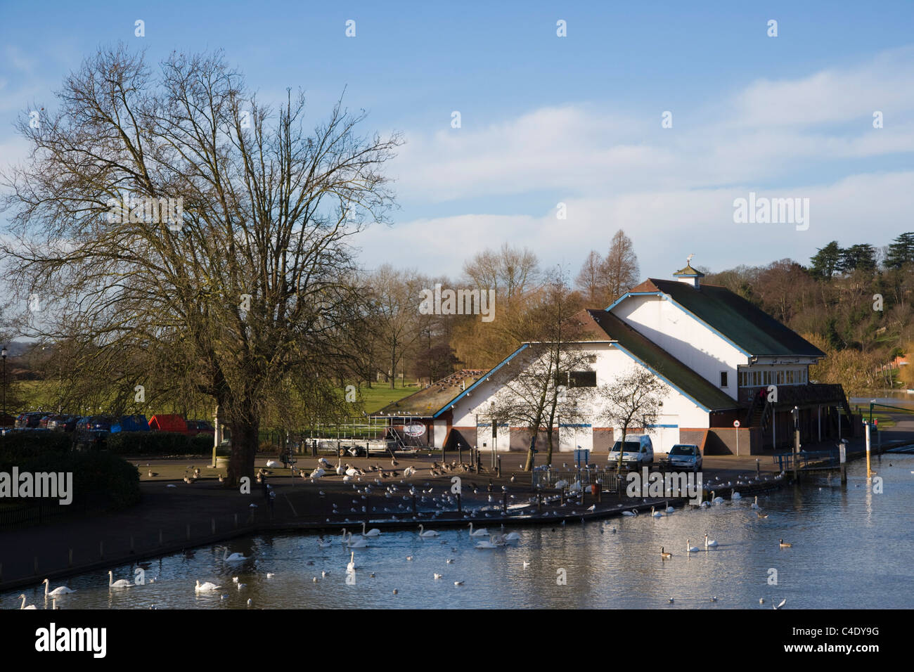 Reading rowing club and swan sanctuary. Reading Thames Side Promenade ...