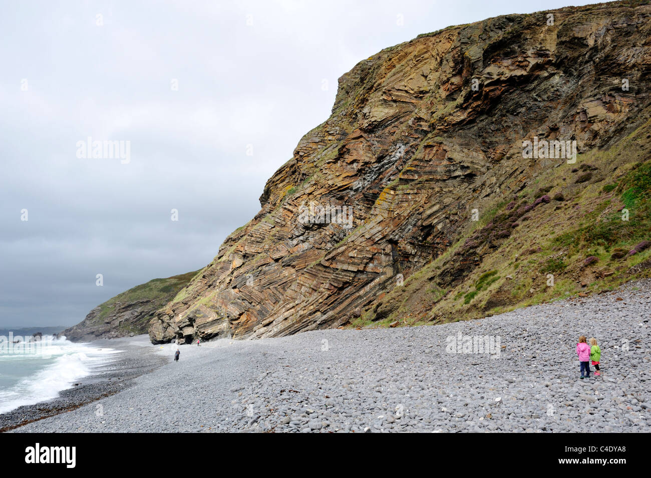Cliff and pebble beach of Northcott Mouth beach in North Cornwall, UK ...
