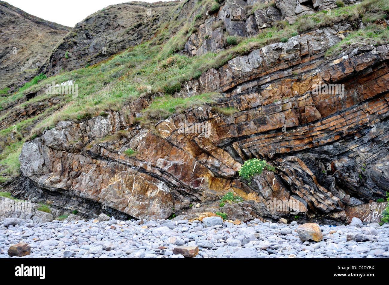 Coastal uplift hi-res stock photography and images - Alamy
