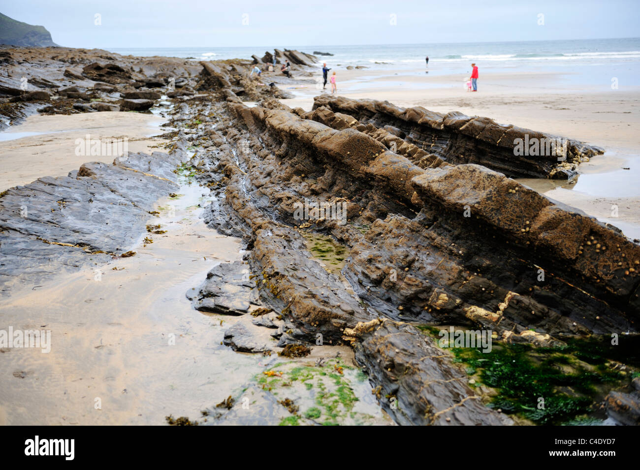 Coastal uplift hi-res stock photography and images - Alamy