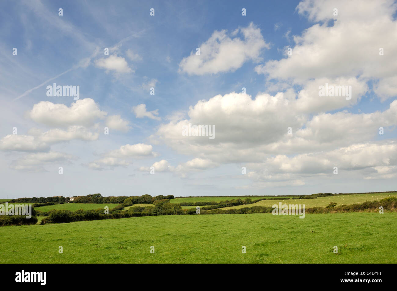 Cornwall countryside hi-res stock photography and images - Alamy