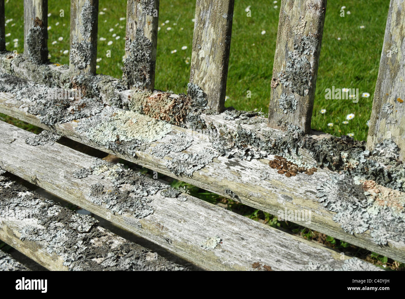 Lichen bench uk hi-res stock photography and images - Alamy