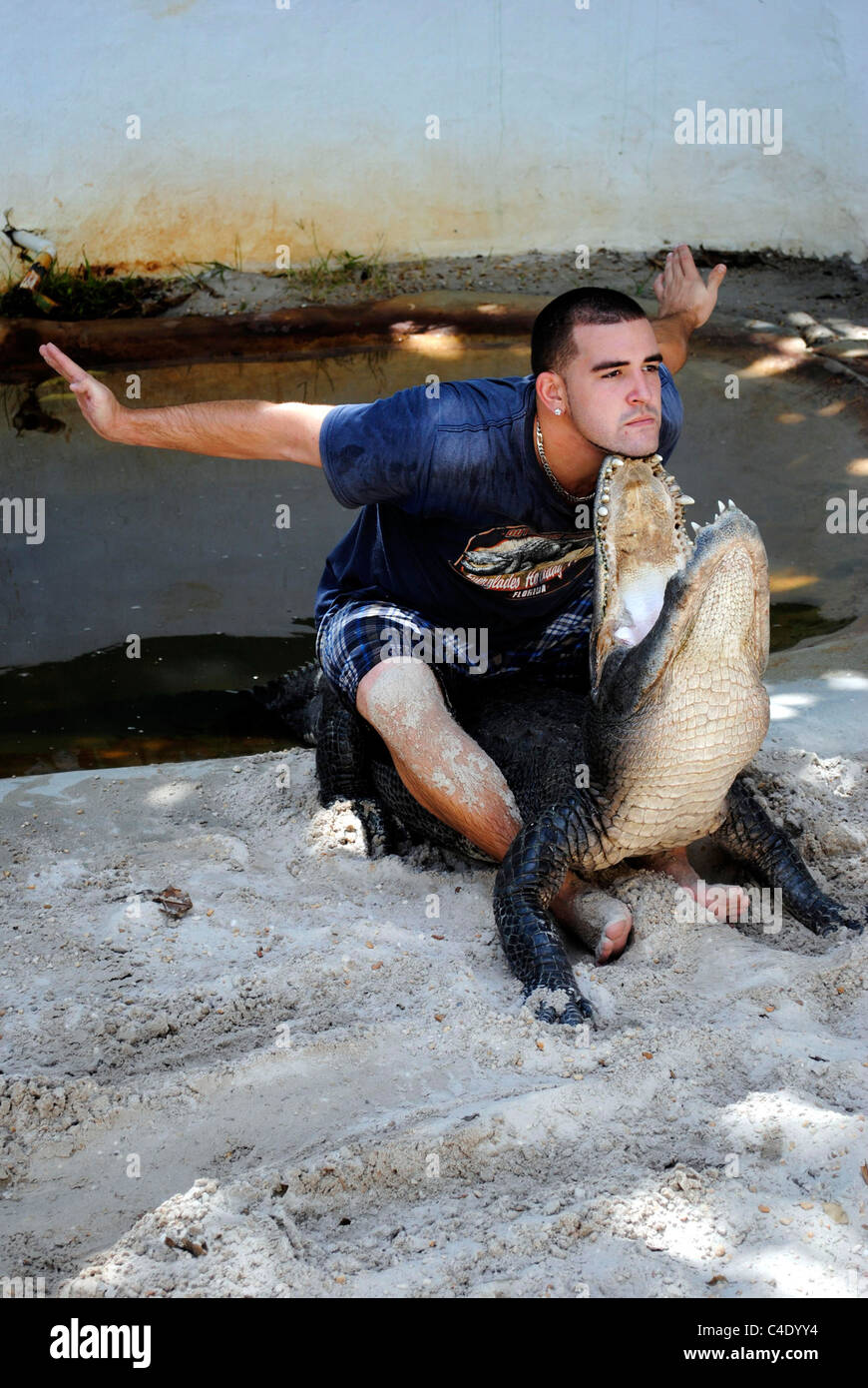 Florida alligator wrestler hi-res stock photography and images - Alamy
