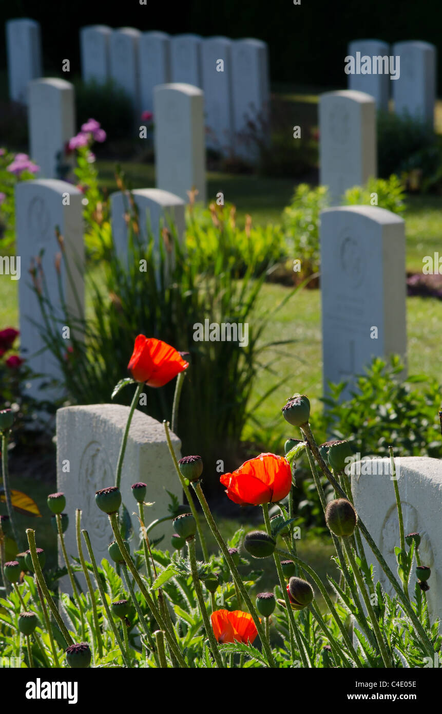 World war graves remembrance poppies hi-res stock photography and ...