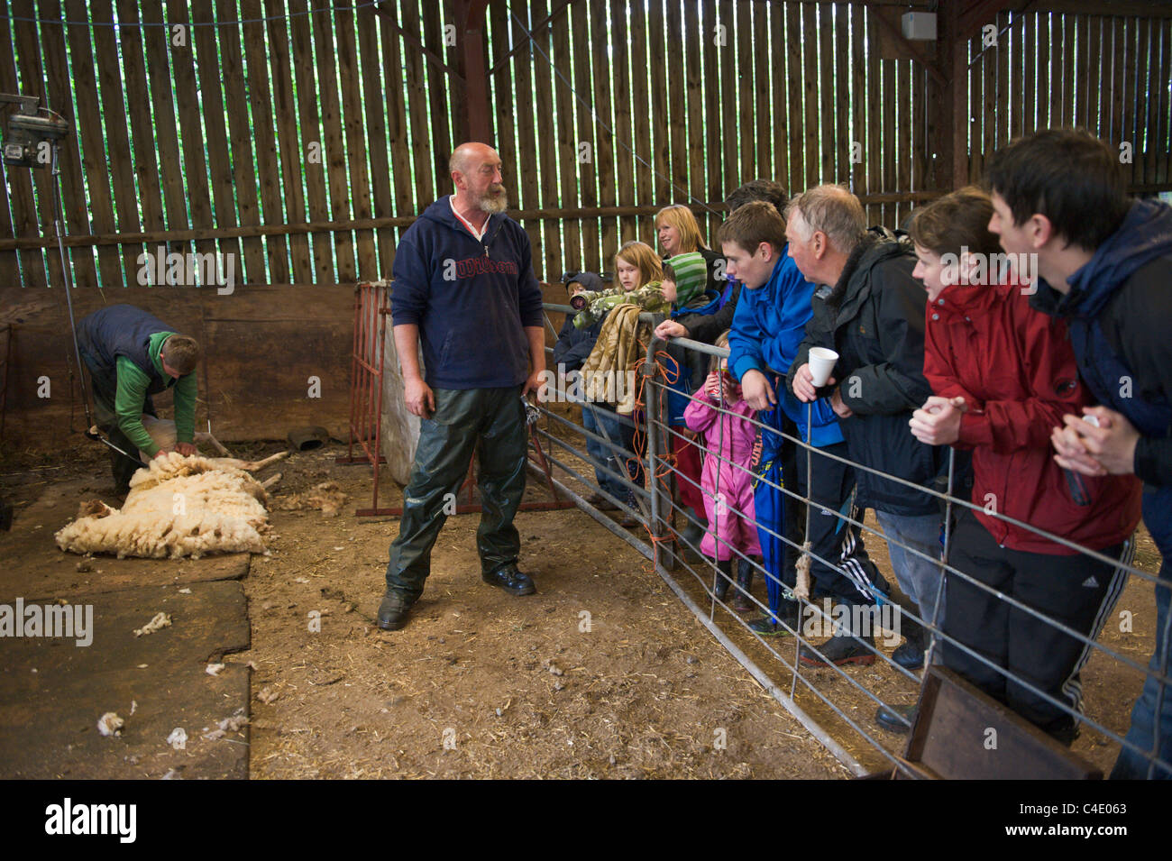 Jim Beavan of BBC programme ‘Lambing Live’ explaining sheep shearing to ...