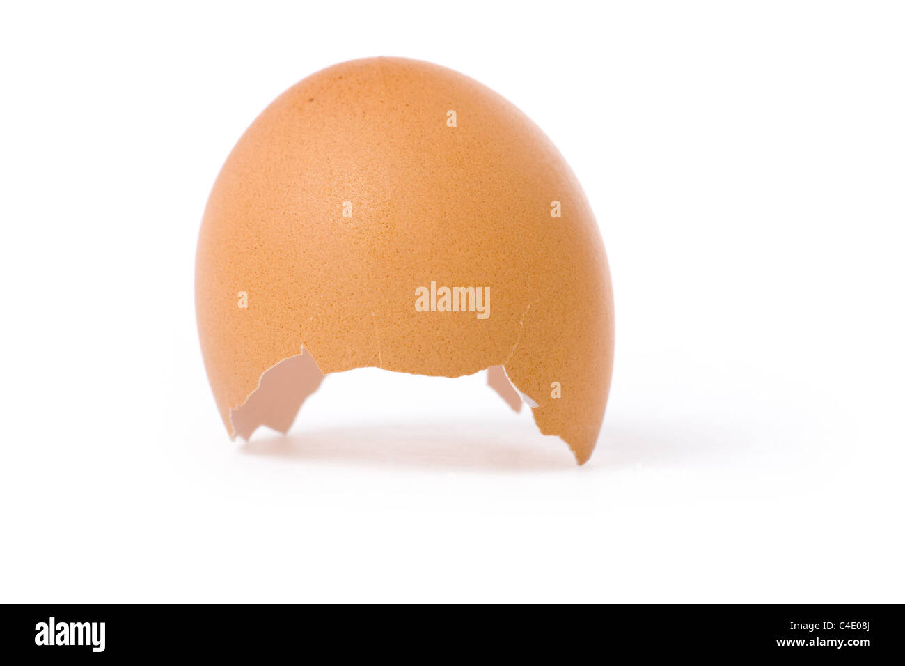 an eggshell with white background Stock Photo - Alamy