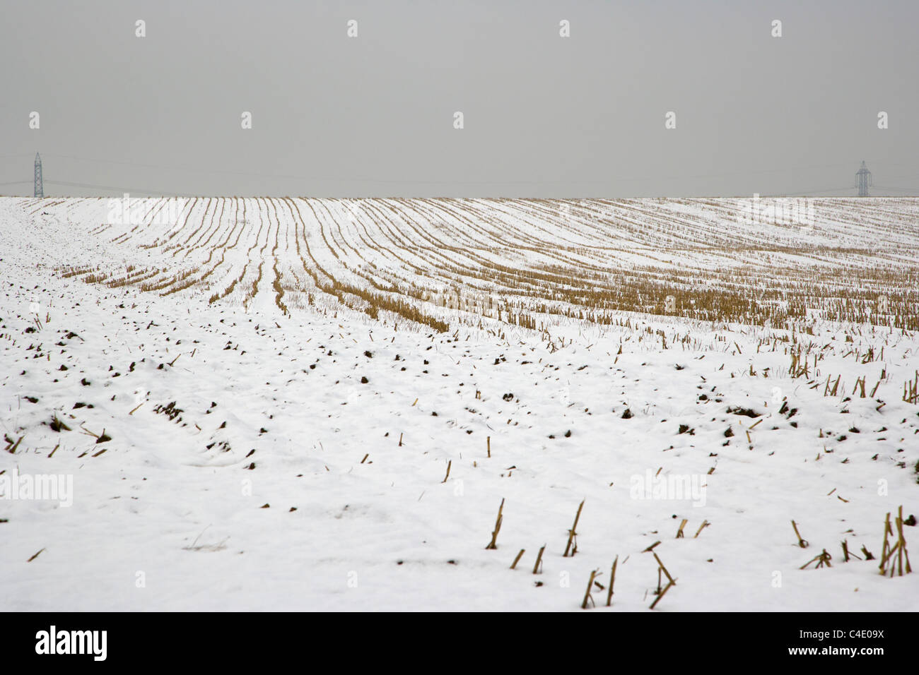 Snow winter white berkshire hi-res stock photography and images - Alamy