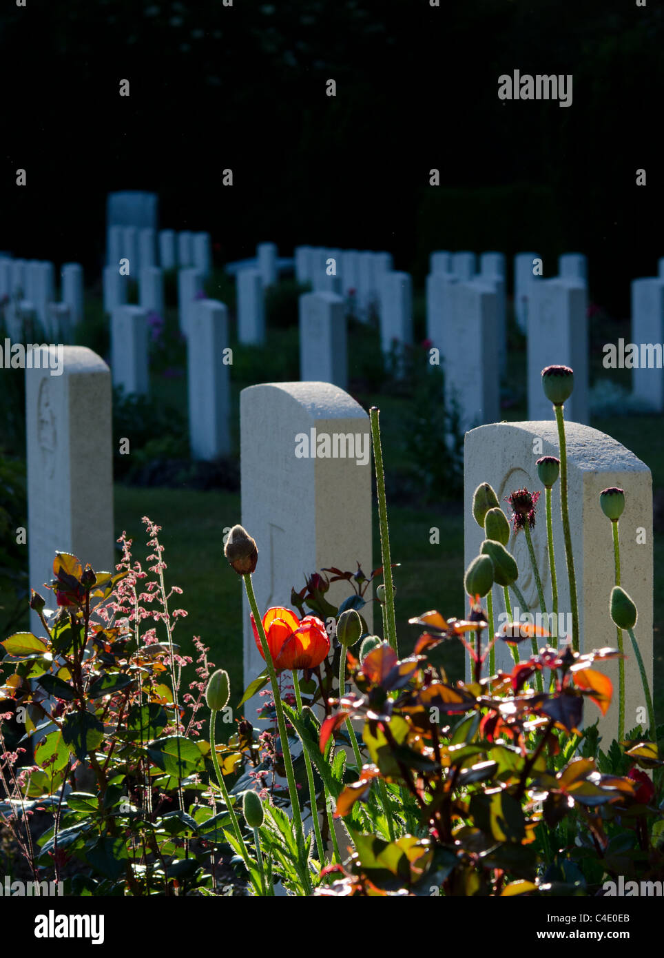 British and Commonwealth war graves in Ramparts Cemetery, Ypres Stock ...