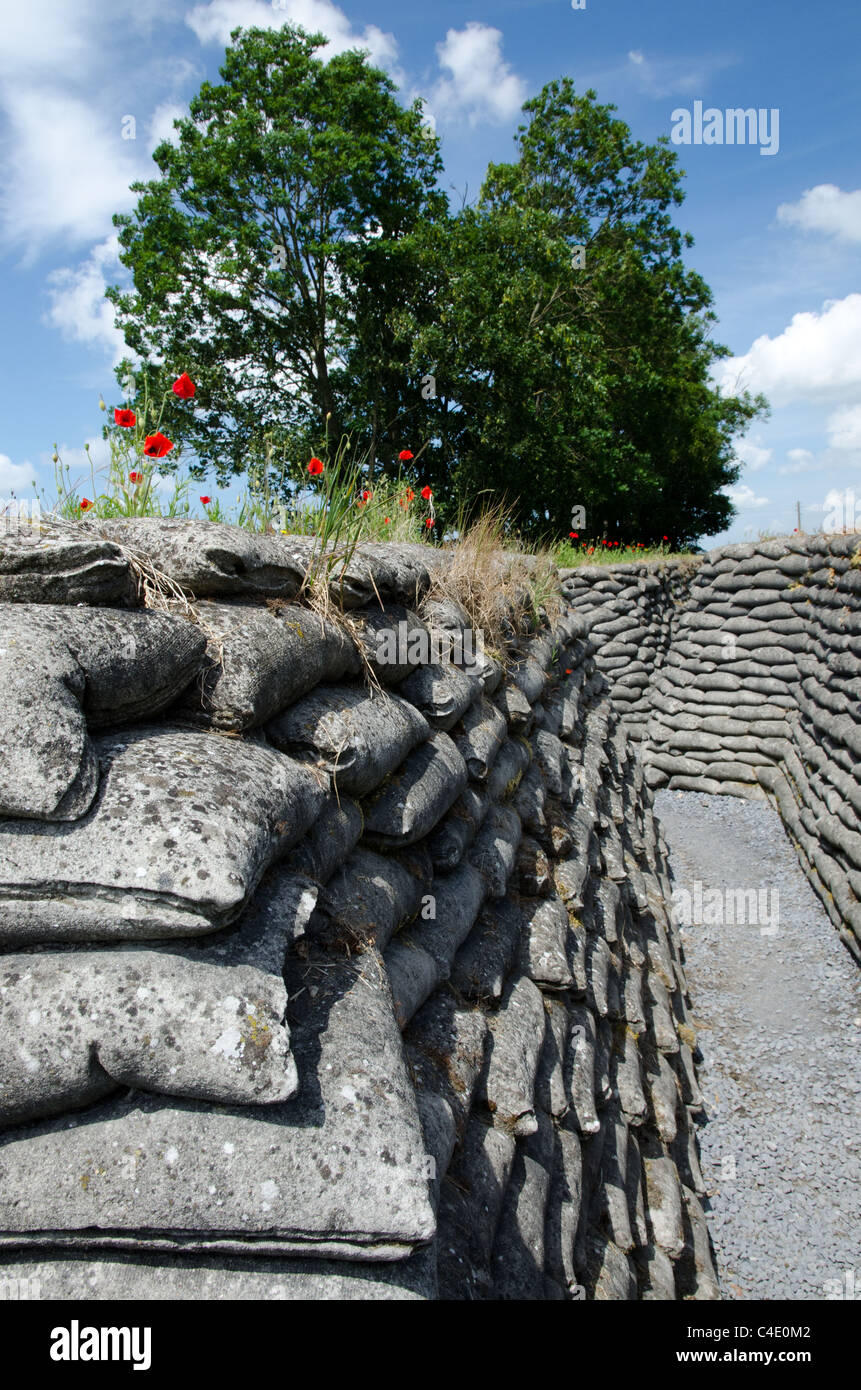 First world war poppies trenches hi-res stock photography and images ...