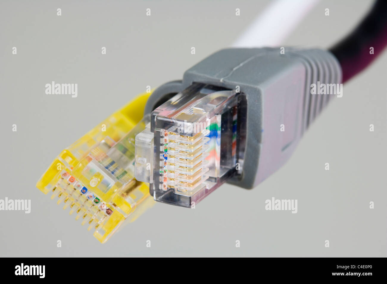 Two RJ-45 Ethernet connectors on white background Stock Photo - Alamy