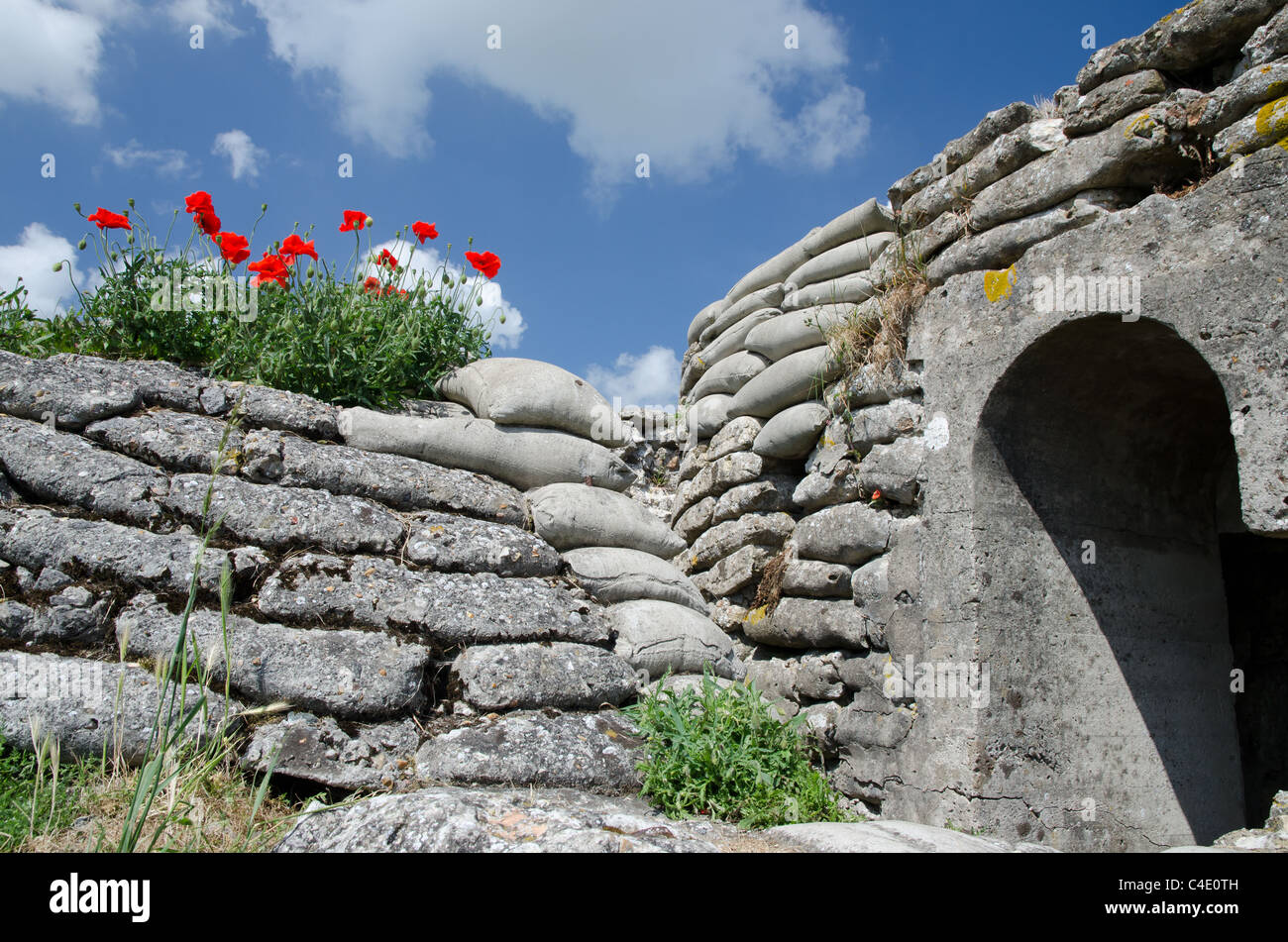 Flanders poppy first world war hi-res stock photography and images - Alamy