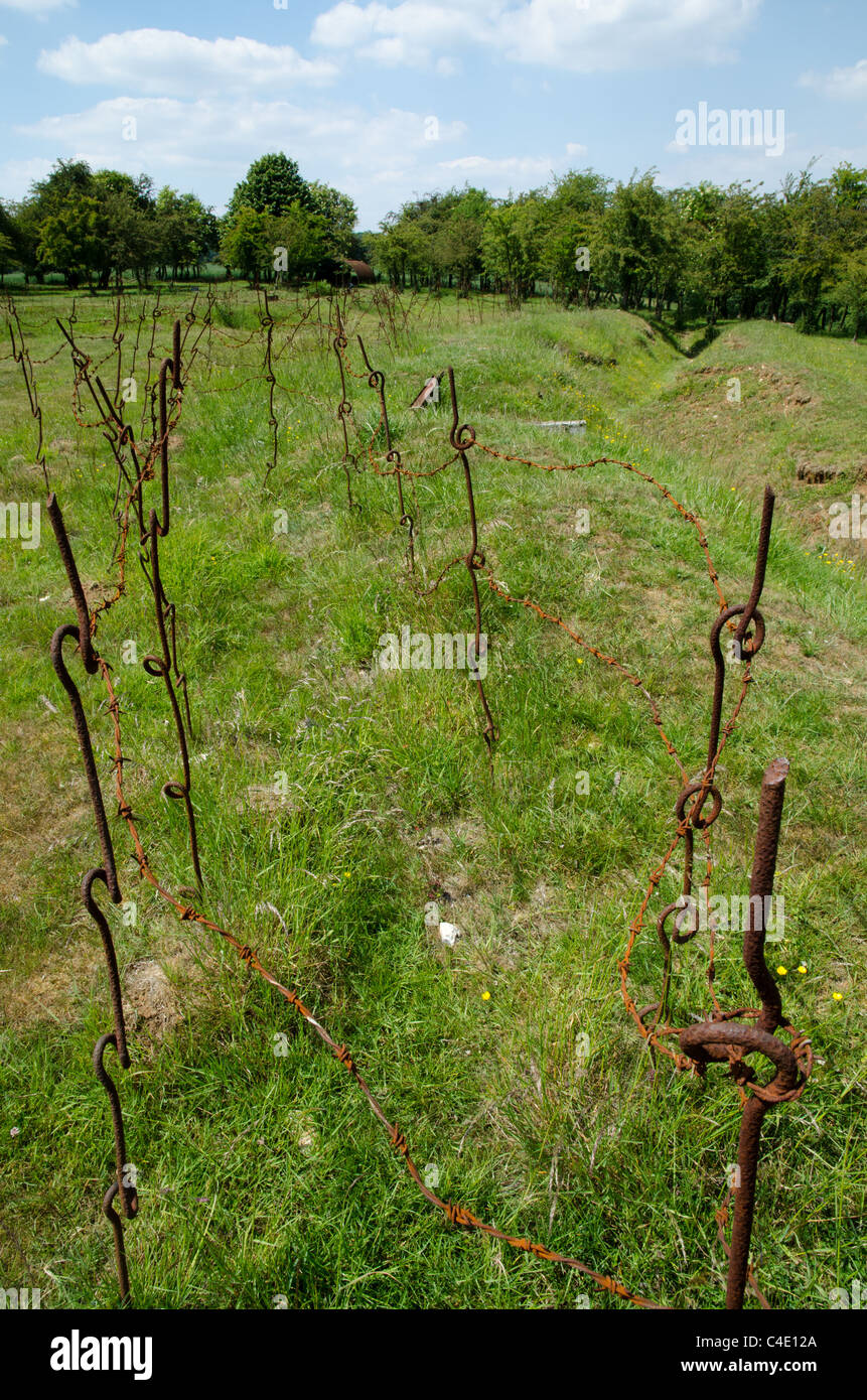 Original barbed wire entanglements from the First World War, Artois ...