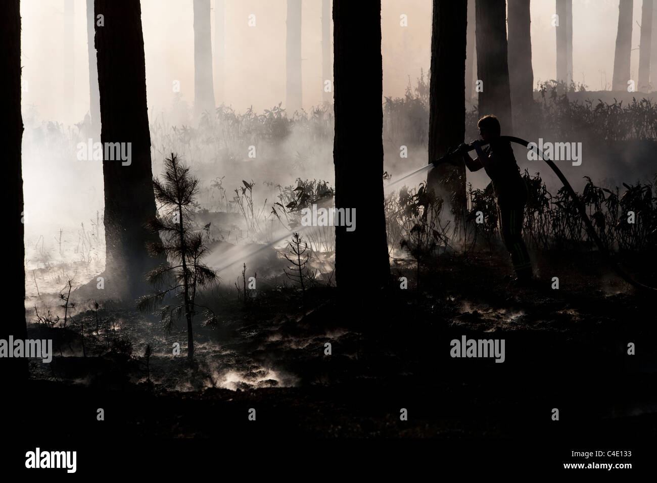 Firefighter forest fire hi-res stock photography and images - Alamy