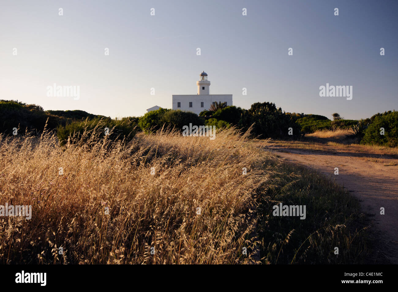 The Capo Ferro lighthouse from the field at twilight, Porto Cervo ...