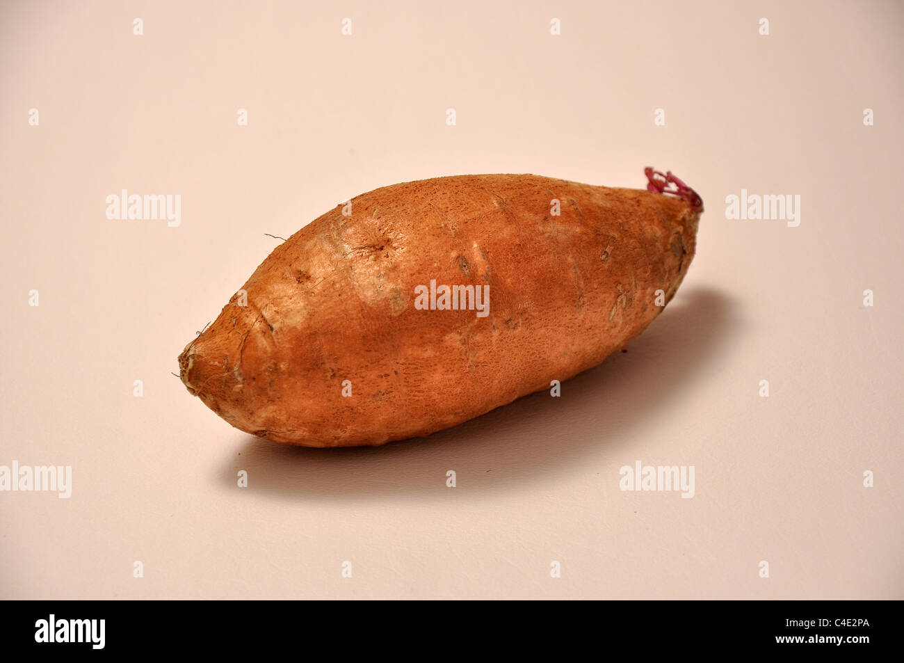 A lone sweet potato sits on a white background Stock Photo - Alamy