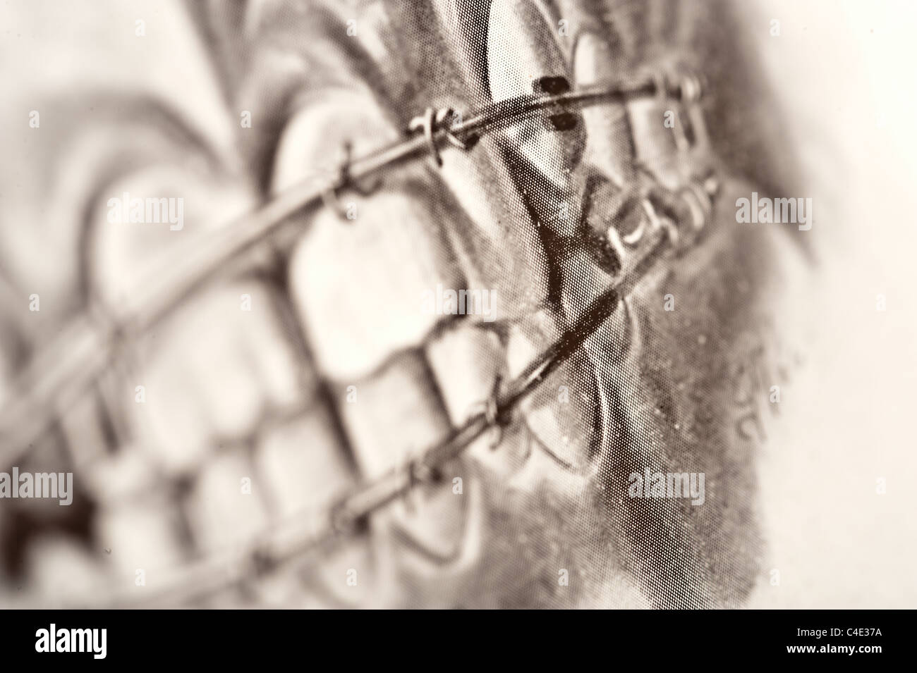 Vintage dental anatomy hi-res stock photography and images - Alamy
