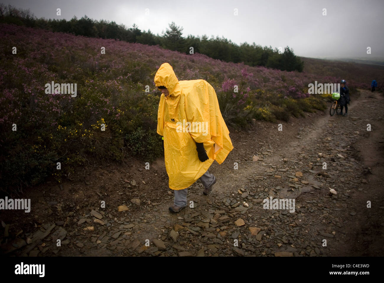 Pilgrim walk in a track located in the French Way that leads to ...