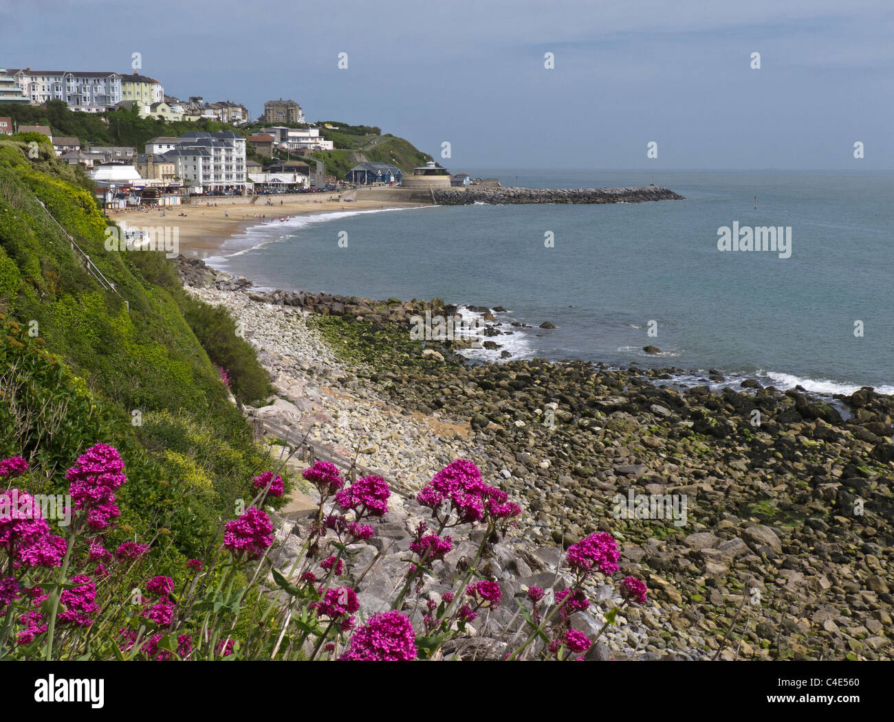 Ventnor Beach, Isle of Wight, England, UK Stock Photo - Alamy