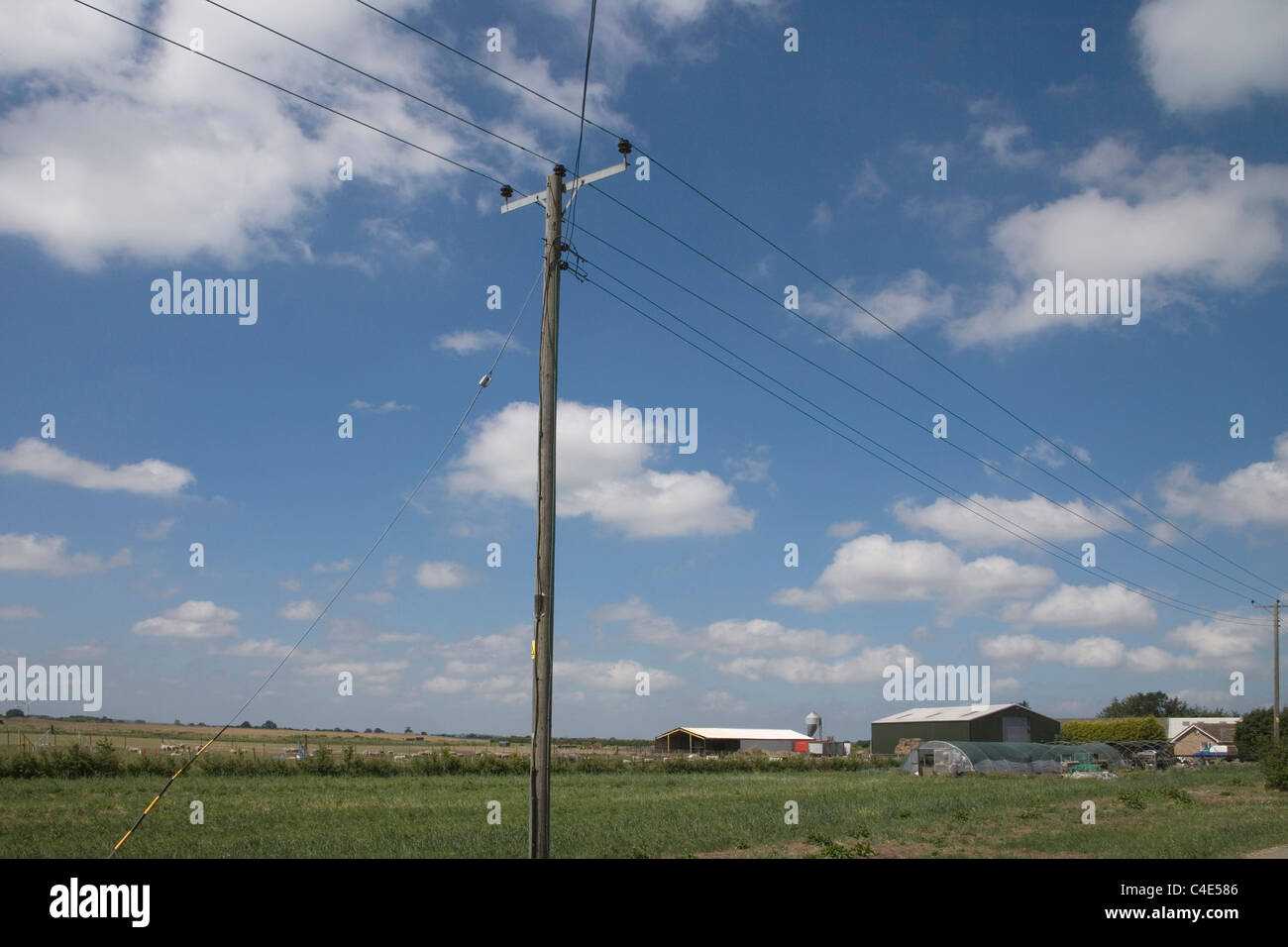 Telephone Poles And Wires High Resolution Stock Photography and Images ...