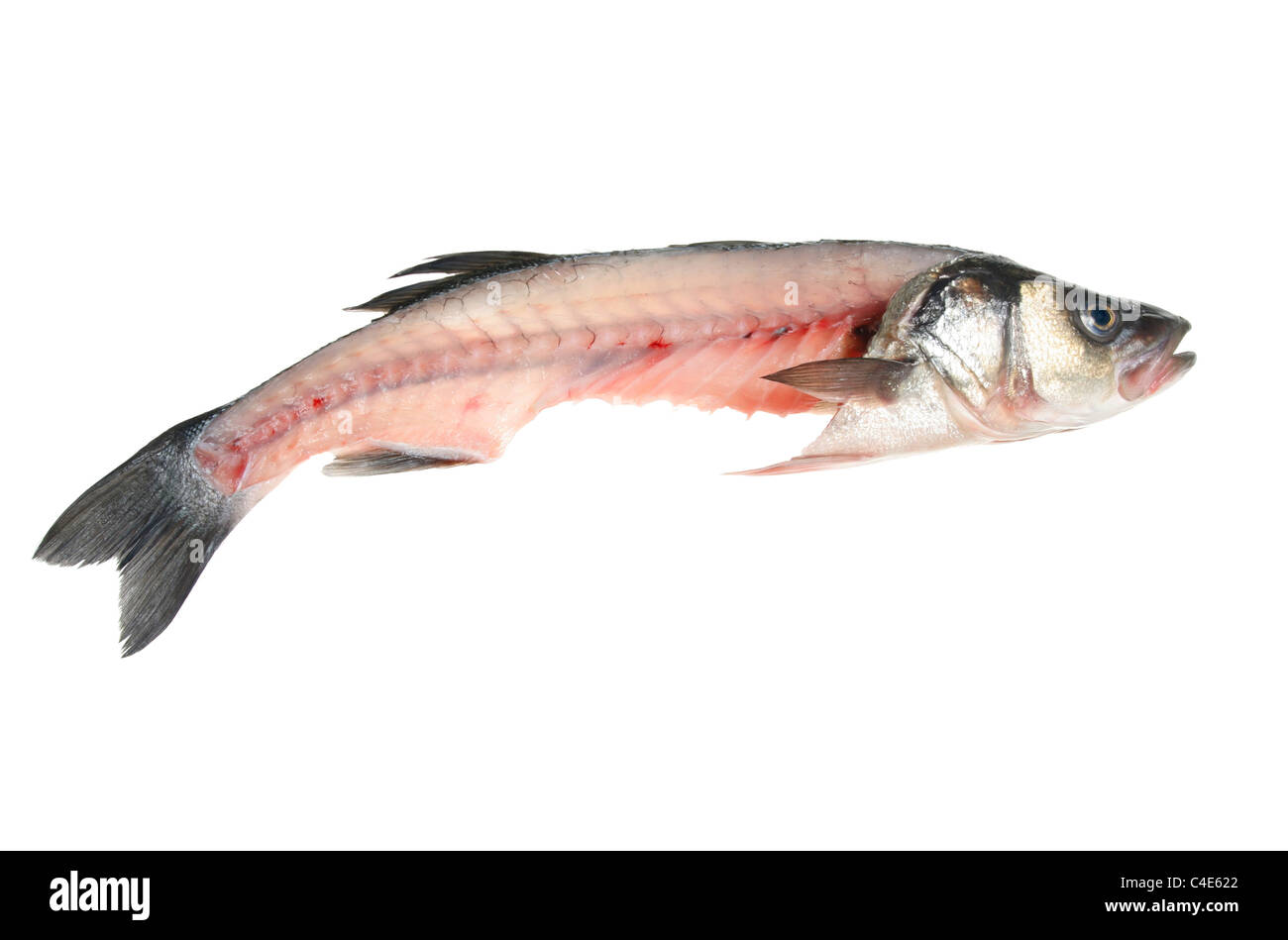 Filleted seabass fish isolated on white Stock Photo - Alamy