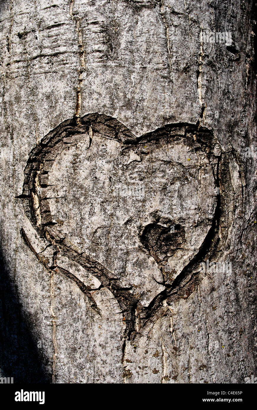 Love Carved on a Tree Stock Photo - Alamy