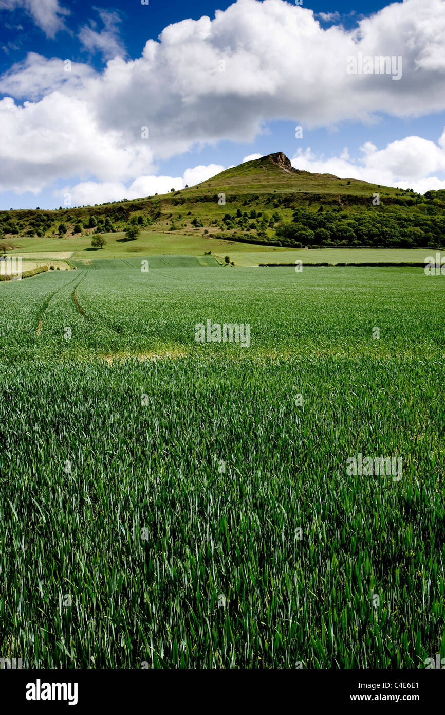 Roseberry Topping in the sunshine, North York Moors, England Stock ...