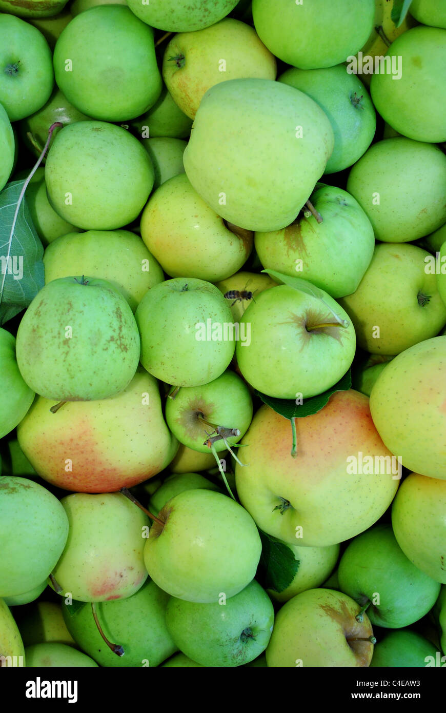 Few yellow apples hi-res stock photography and images - Alamy
