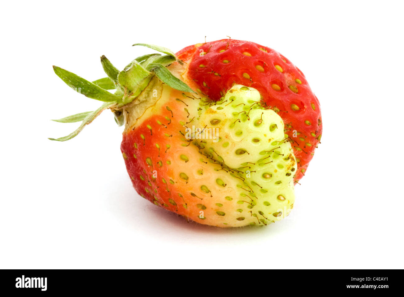 Strange shaped strawberry isolated on white Stock Photo - Alamy