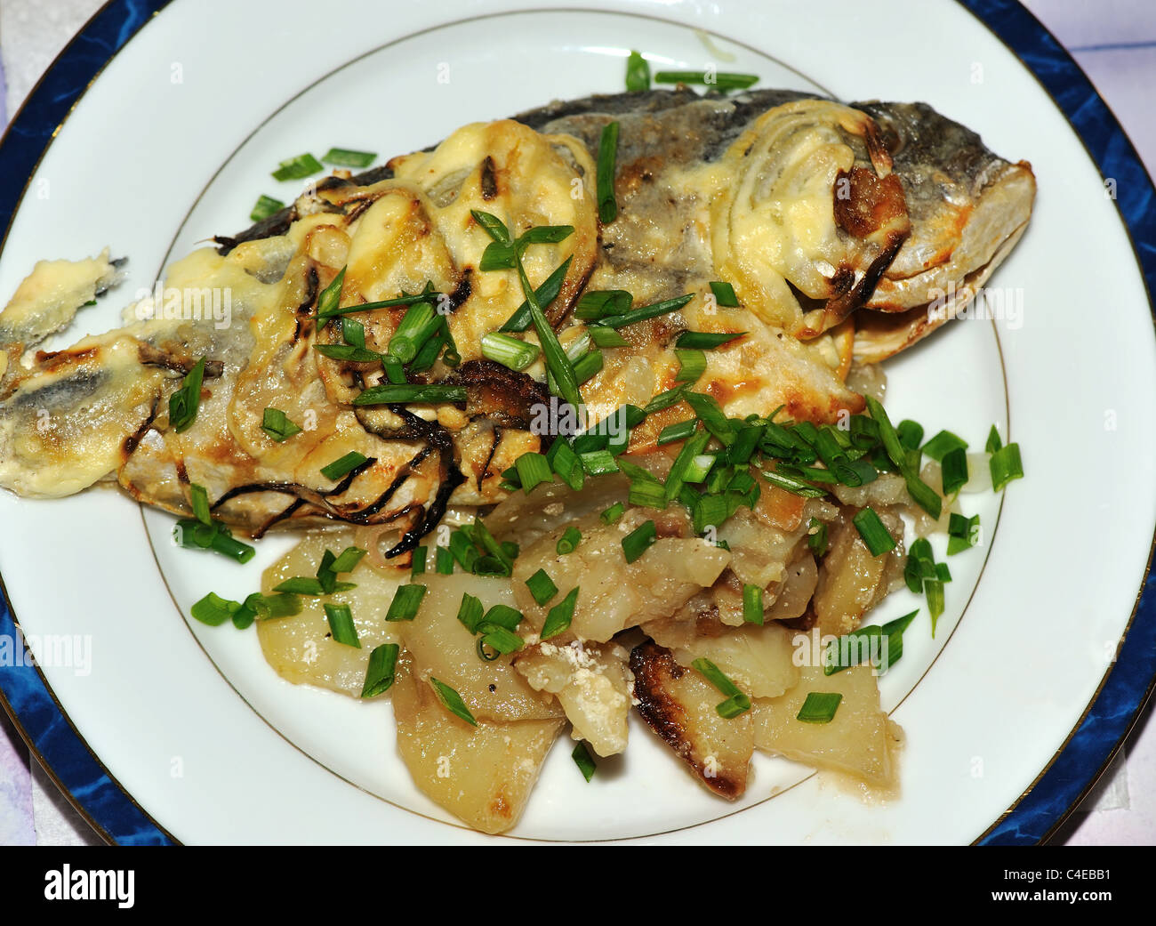 Golden sea bream hi-res stock photography and images - Alamy