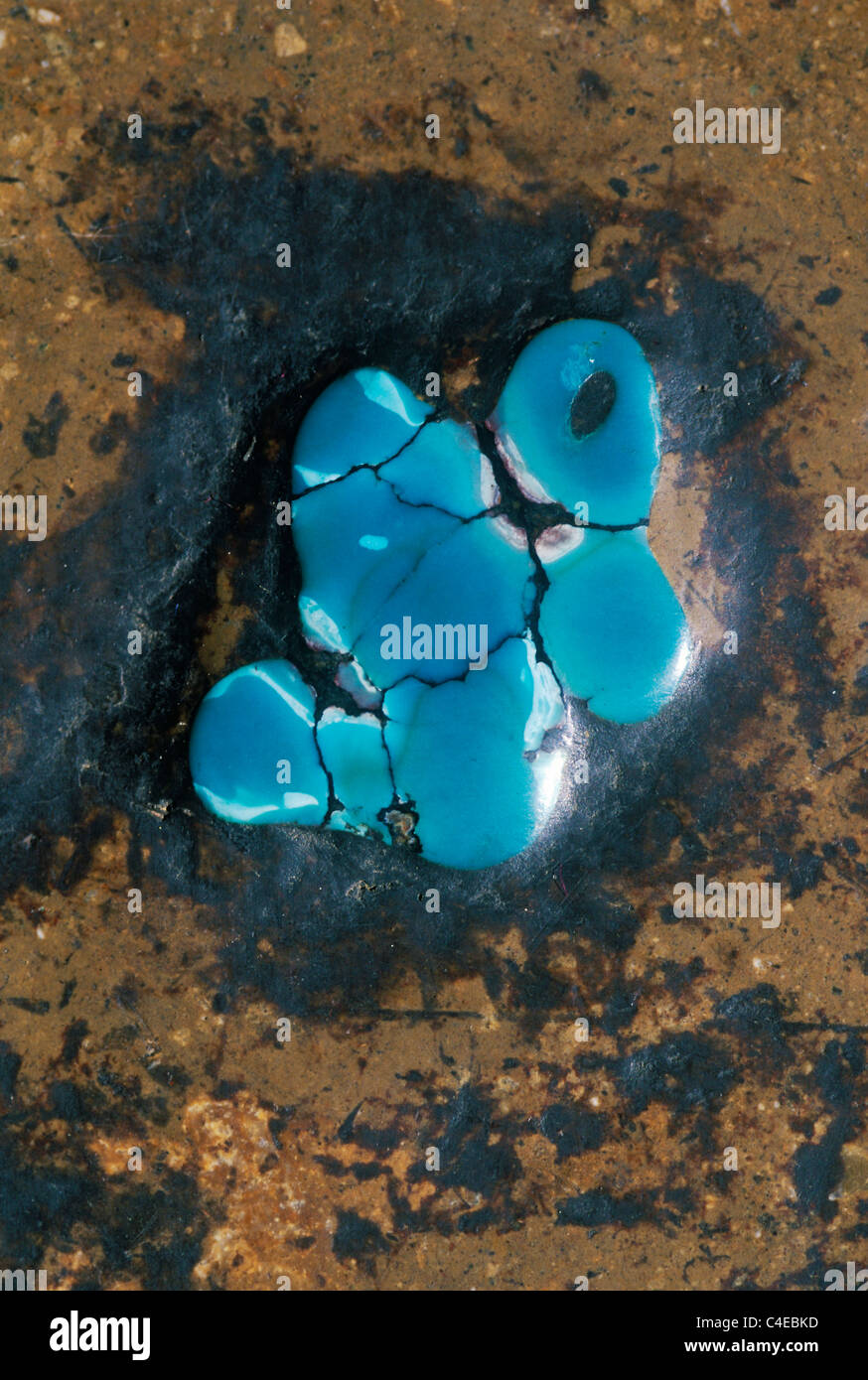 Turquoise stone set in floor of entrance of the Kudhung Lhakhang ...