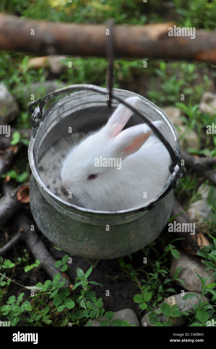 Fireplace pot hi-res stock photography and images - Alamy