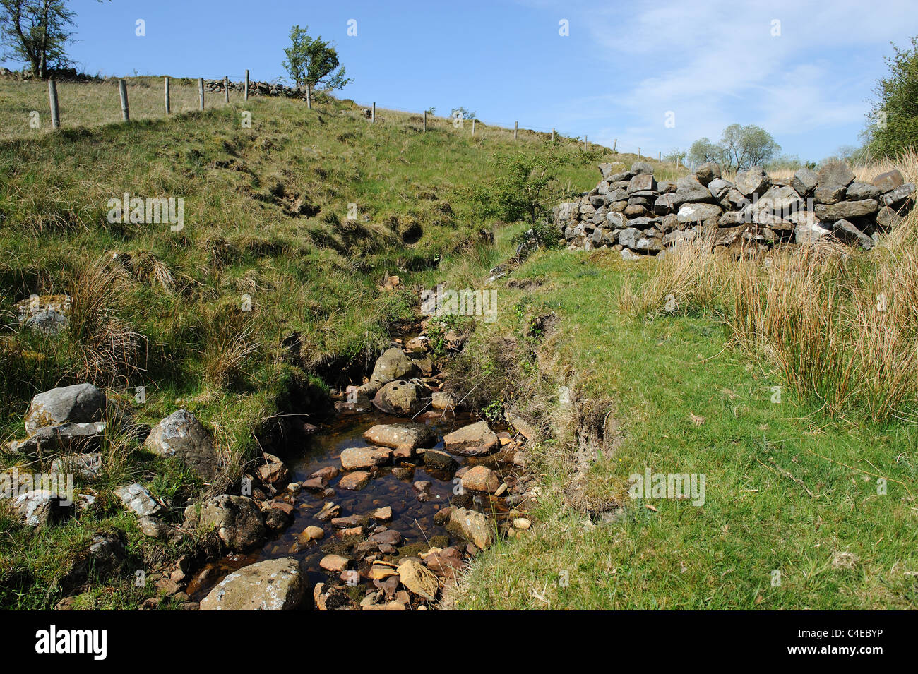 Small river in the country Stock Photo - Alamy