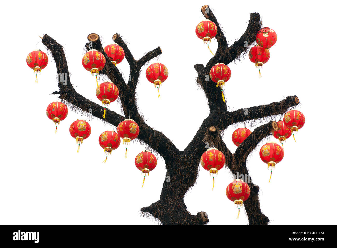 chinese lanterns hanging on tree branches isolated on white Stock Photo ...