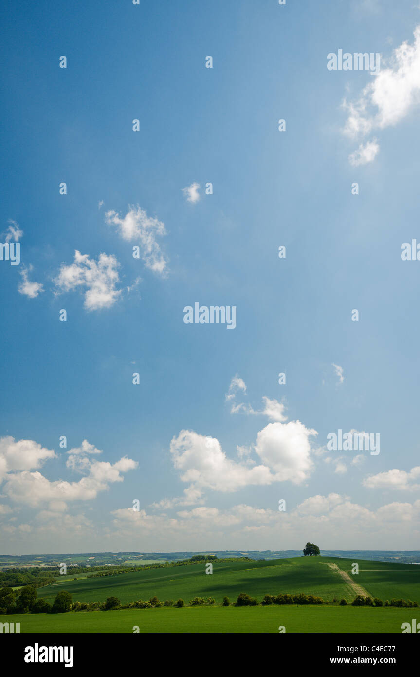 Wittenham clumps hi-res stock photography and images - Alamy