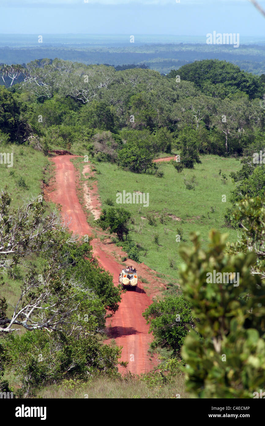 Shimba Hills National Park, Kenya, east Africa Stock Photo - Alamy