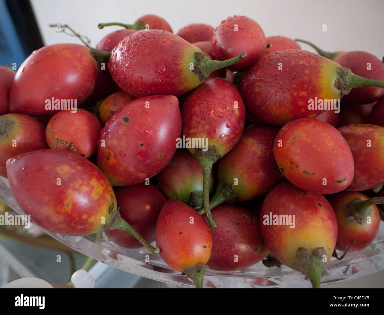 Carissa hi-res stock photography and images - Alamy