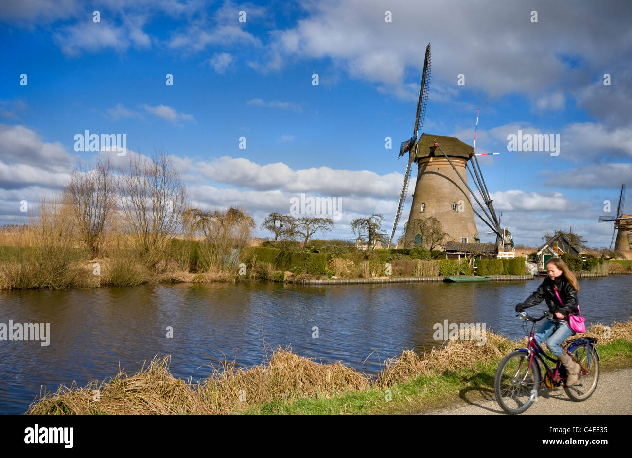 A girl cycling near windmills at the Kinderdijk UNESCO World Heritage ...