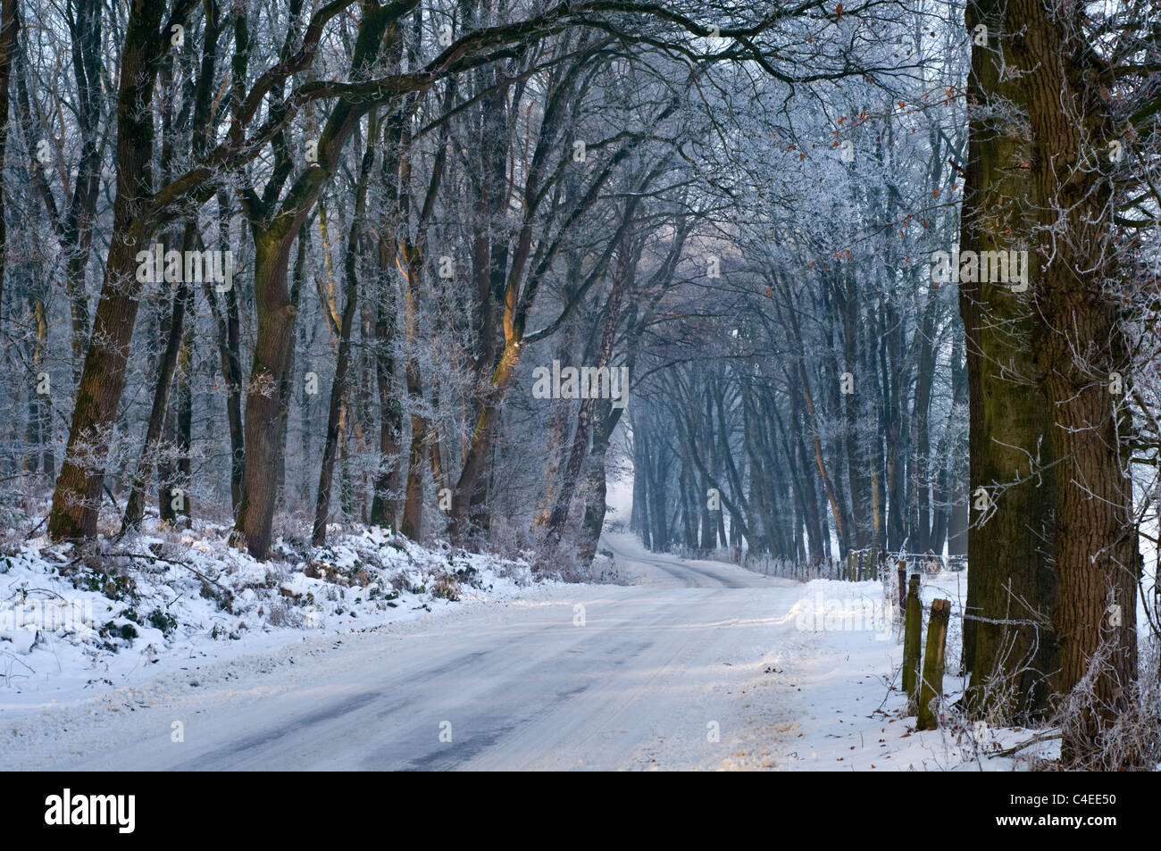 Wintry avenue hi-res stock photography and images - Alamy