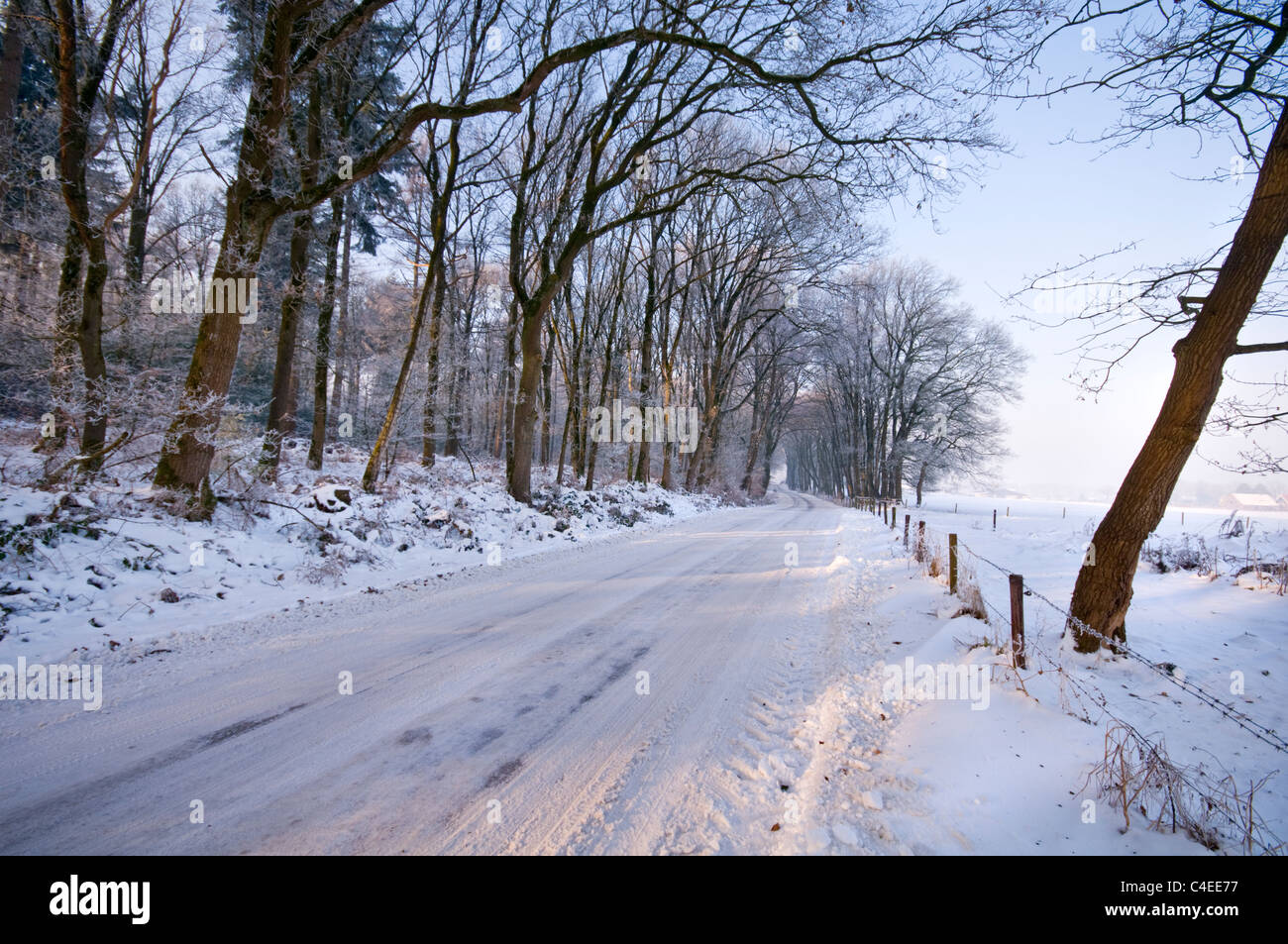 An empty, snow covered road in a wooded area in the town of Rhenen in ...