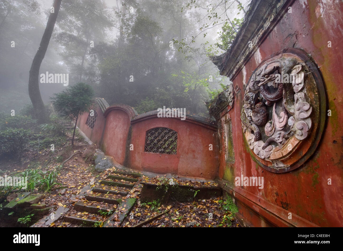 Meng Shan mountain where Wu Lizhen, the first known grower of tea, is ...