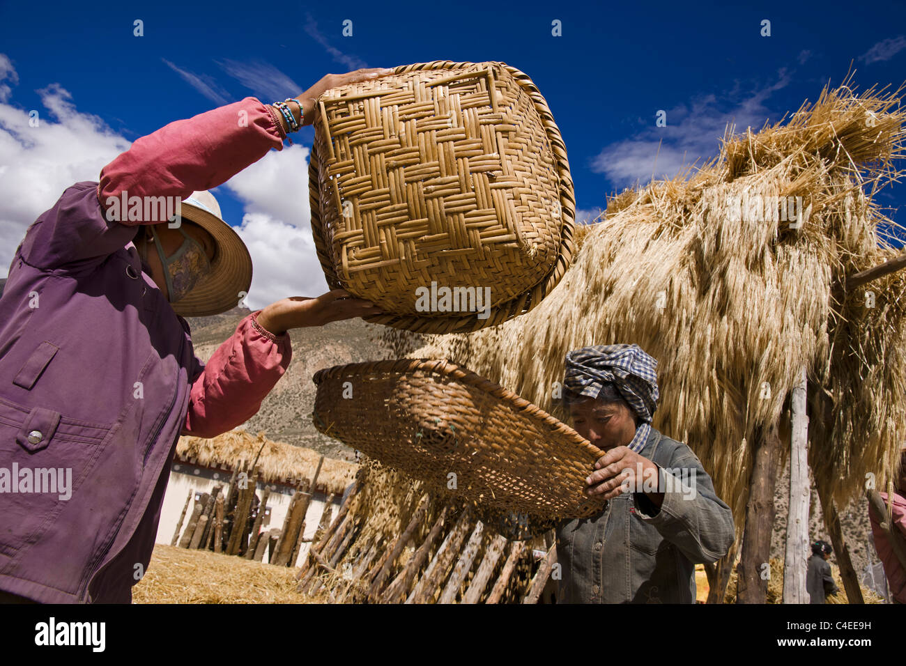 Winnowing barley, Ji Da village, near Baxu, Tibet Stock Photo - Alamy