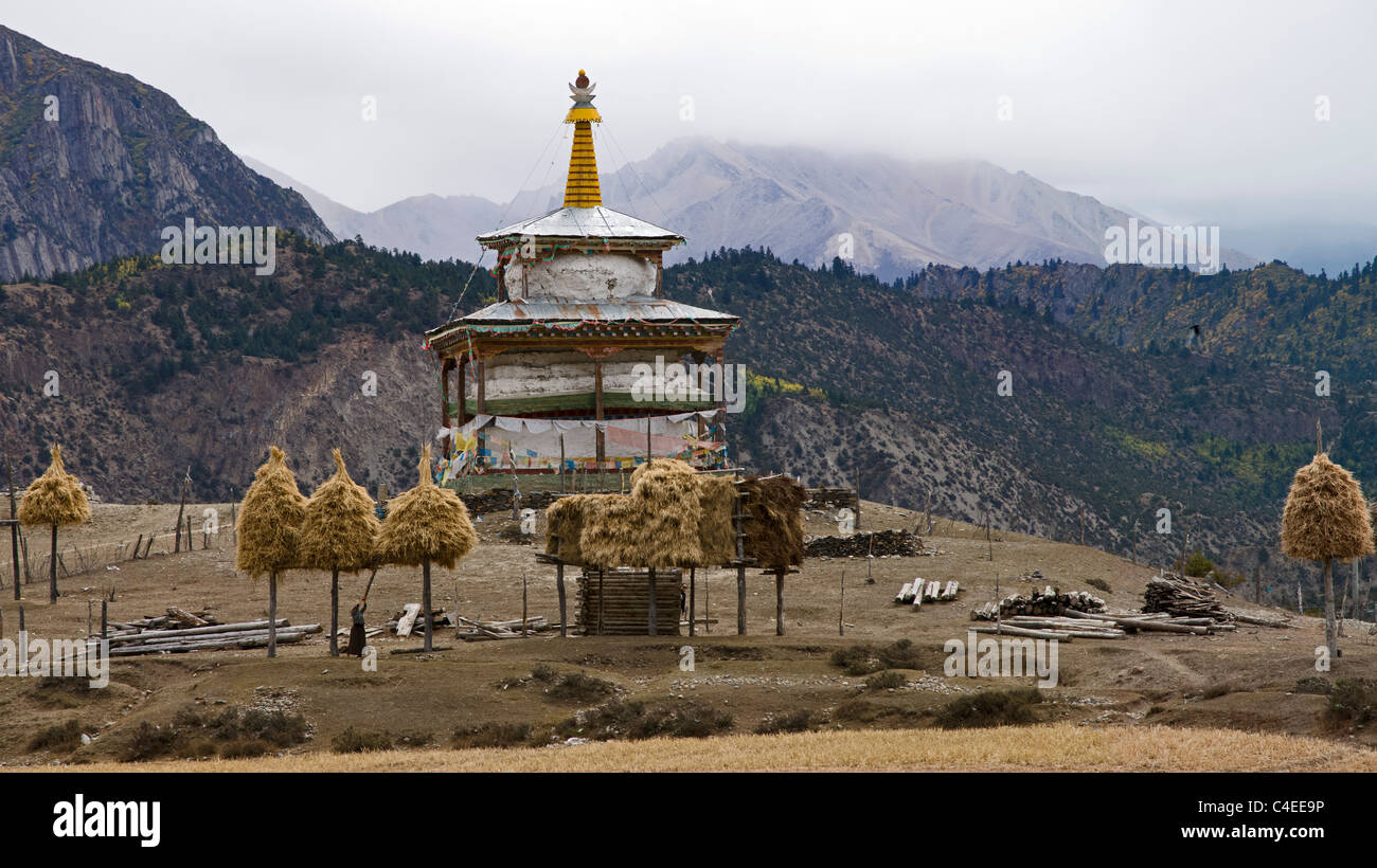 Chorten and haystacks, Ranwu, Tibet. China Stock Photo - Alamy