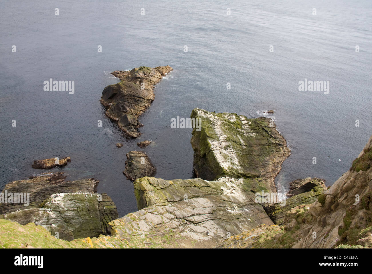 Shetland Islands Scotland looking down on the rocks of Sumburgh Head ...