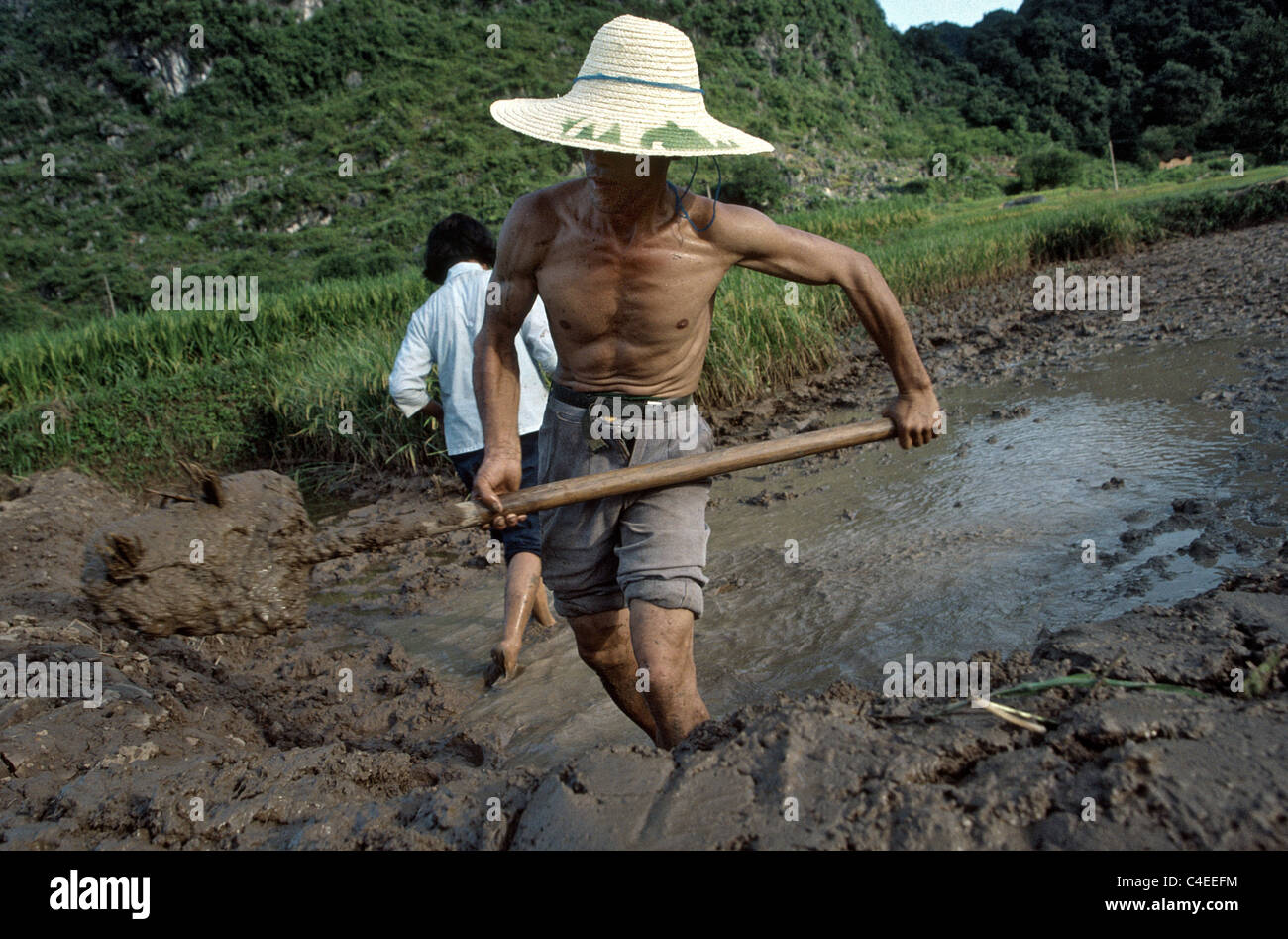 Chinese peasants digging fields for rice crops around Yangshou China ...