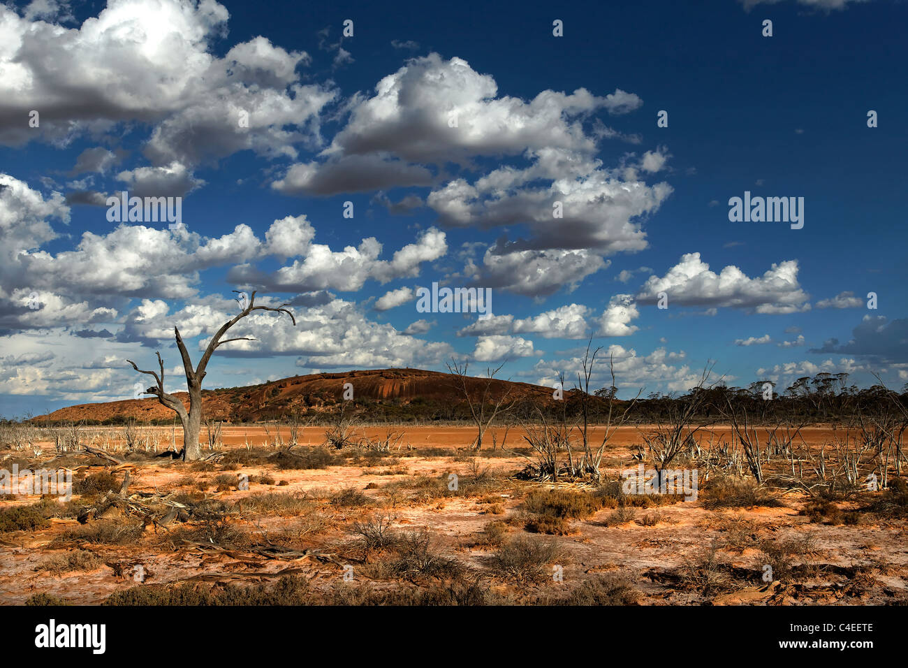 Australian Landscape, Baladjie Nature Reserve, Western Australia Stock ...