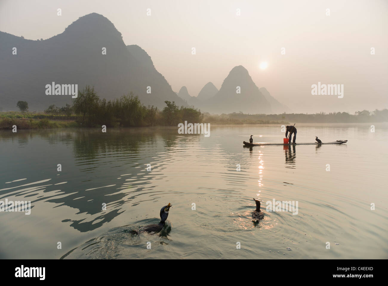 Cormorant fishing on the Yulong River. south of Guilin, Guangxi, China ...