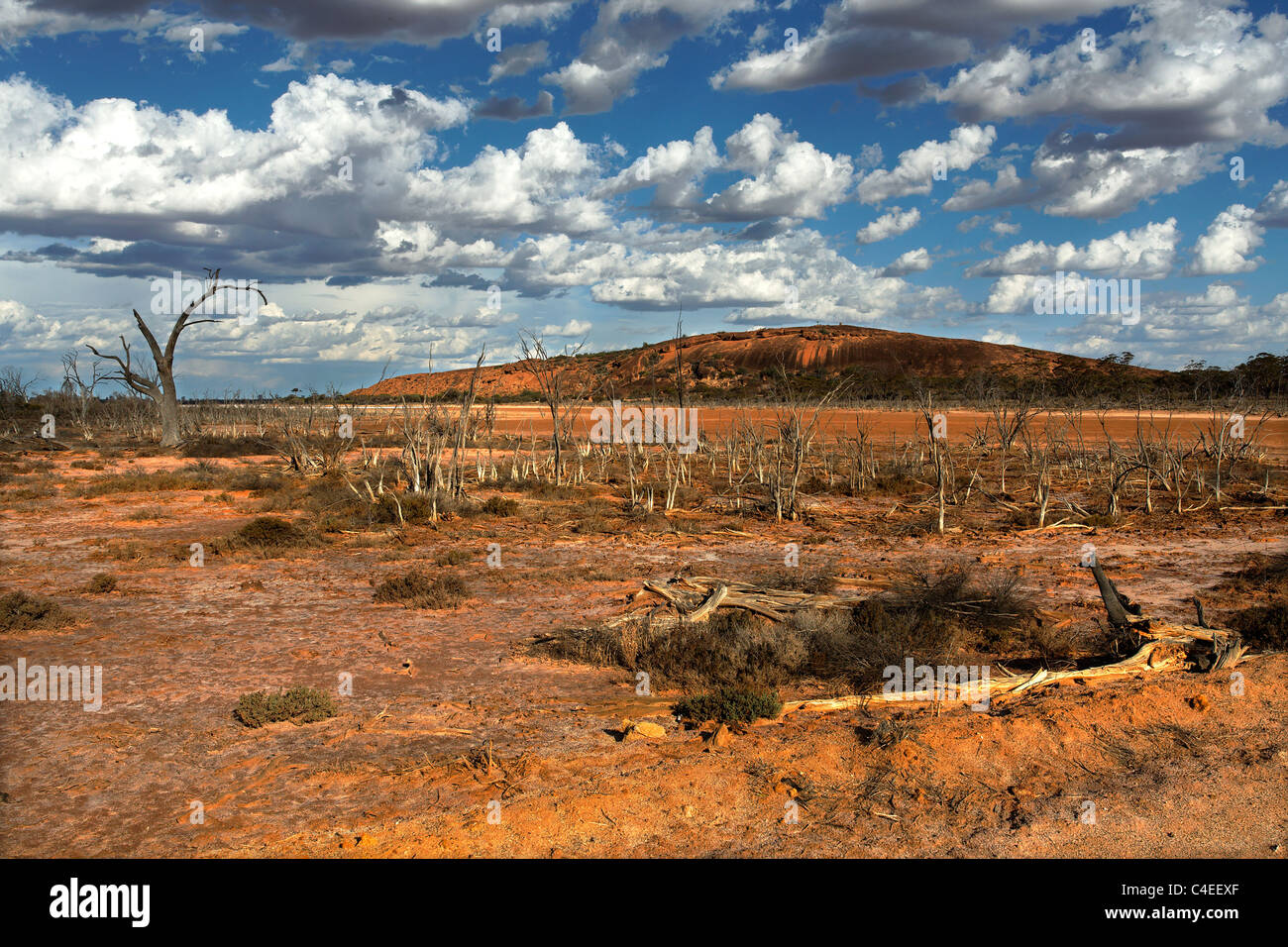 Australian Landscape, Baladjie Nature Reserve, Western Australia Stock ...