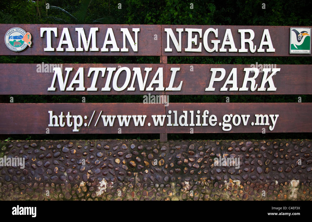 Taman negara malaysia national park hi-res stock photography and images ...